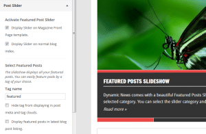 Dynamic News Documentation – ThemeZee