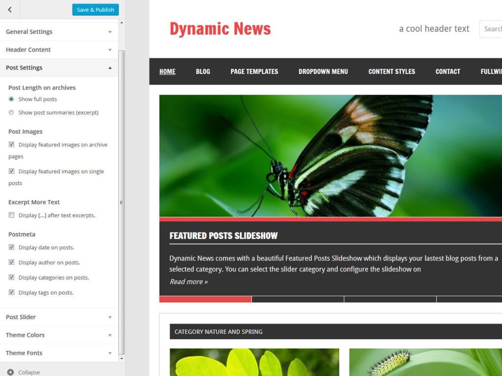 Dynamic News Documentation – ThemeZee