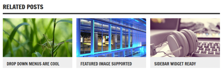 ThemeZee Related Posts – ThemeZee