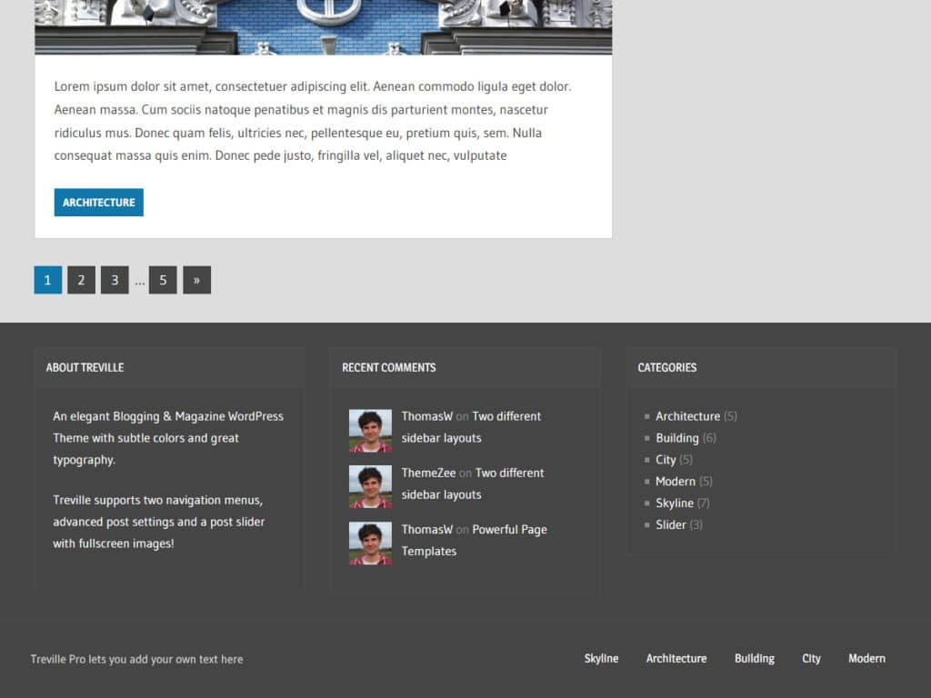 Treville Pro – ThemeZee