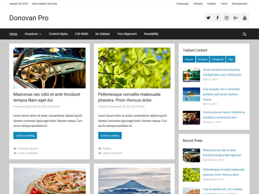 Donovan Pro – ThemeZee