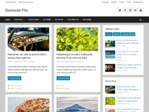 Donovan Pro – ThemeZee