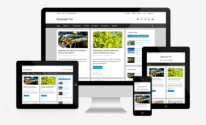 Donovan Pro – ThemeZee